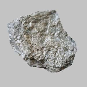 Whiteschist Definition | History